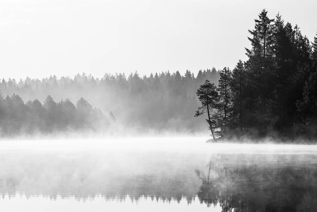 Trauerkarte-Etang-de-la-Gruere – Christian Gehrig Photography